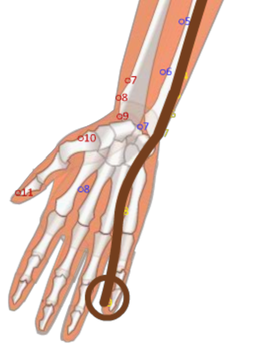 5 Heart Meridian - Sunnyfish Studio
