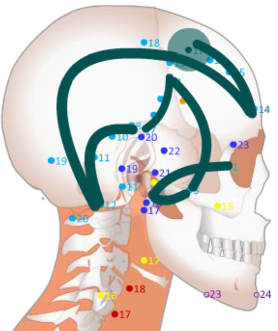 11 Gallbladder Meridian - Sunnyfish Studio