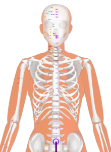 13 Conception Vessel - Sunnyfish Studio