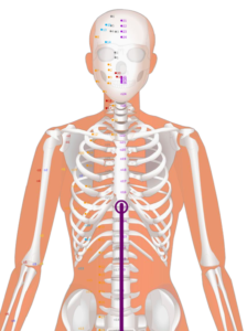 13 Conception Vessel - Sunnyfish Studio