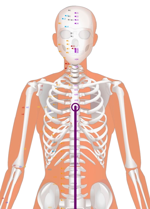 13 Conception Vessel - Sunnyfish Studio